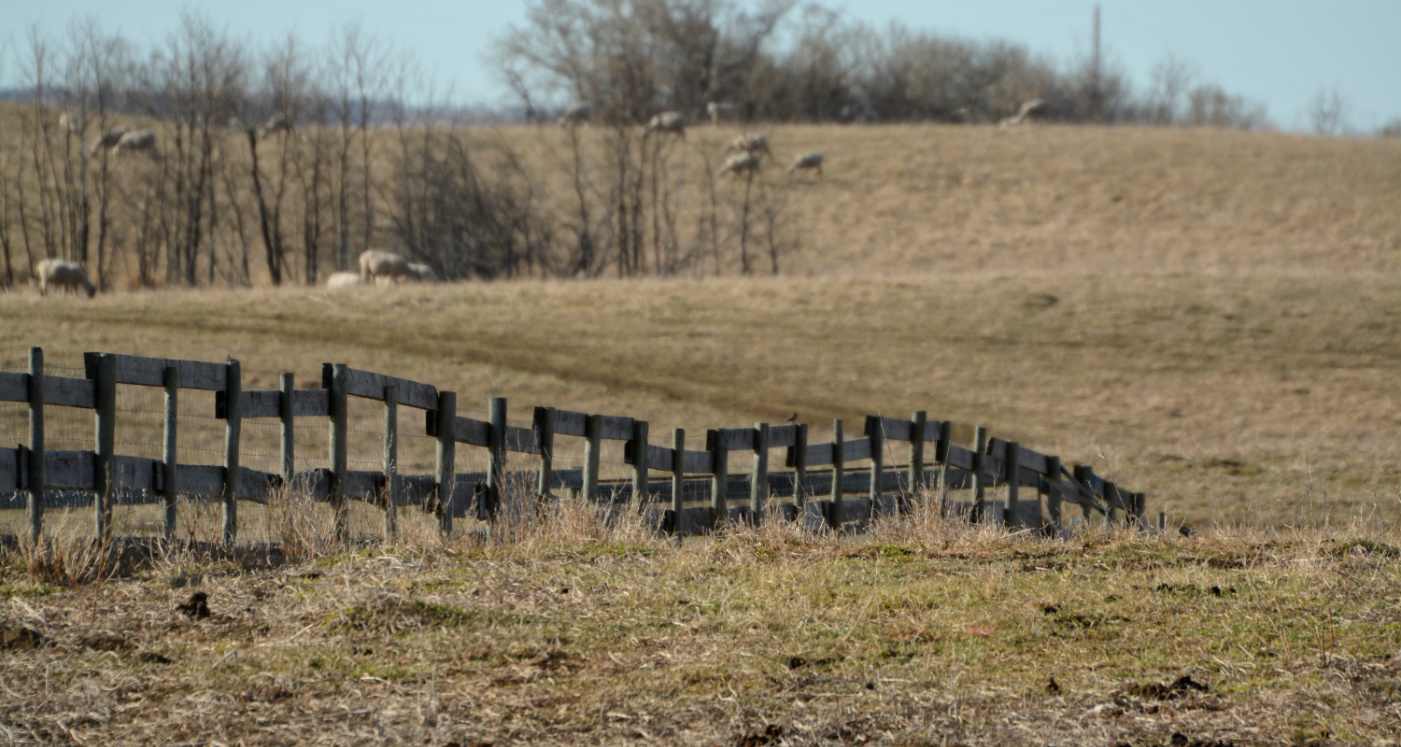 Another Year, Another Round – Wool Stone & Prairie