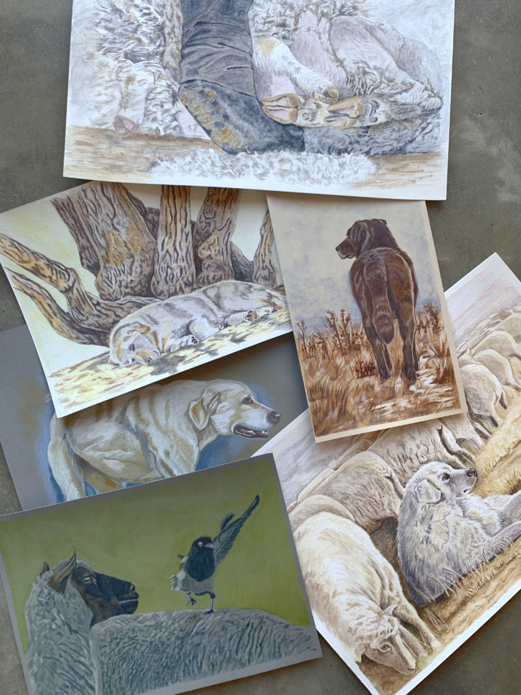 Drought, Resilience and Art – Wool Stone & Prairie